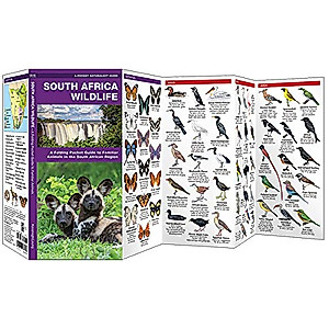 South Africa Wildlife: A Folding Pocket Guide to Familiar Animals in the South African Region (Nature Observation International)