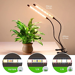 GROWSTAR Plant Lights for Indoor Growing, Full Spectrum 2 Heads Clip Grow Lamps with 10 Feet Cables for Seeding Blooming and Fruiting(2 Pack)