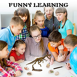 Dinosaur Fossil Digging Kit for Kids, Dinosaur Eggs Excavation Dig Kit, Dinosaur Toys for Kids 5-7 8-12, Great Birthday for Boys and Girls