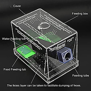 Luroze Cricket Care Kit, Easy to Cricket Keeper Tank Box High Transparency Acrylic Material for Home for Office(S)