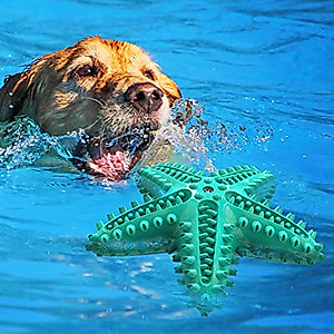 Carllg Dog Toys for Aggressive Chewers, Dog Teething Cleaning Toothbrush Toy, Durable Squeaky Interactive Starfish Puppy Toys for Small Medium Large Breed