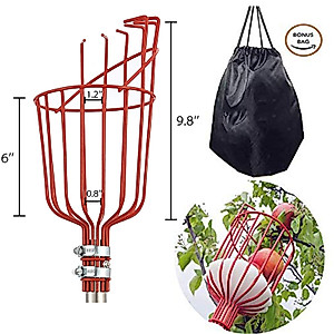 DIIG Fruit Picker, 5.5 Foot Fruit Picker Tool with Stainless Steel Connecting Pole, Fruit Picking Equipment for Getting Fruits Lemons Apples Guavas Avocados Pears Mangoes Oranges
