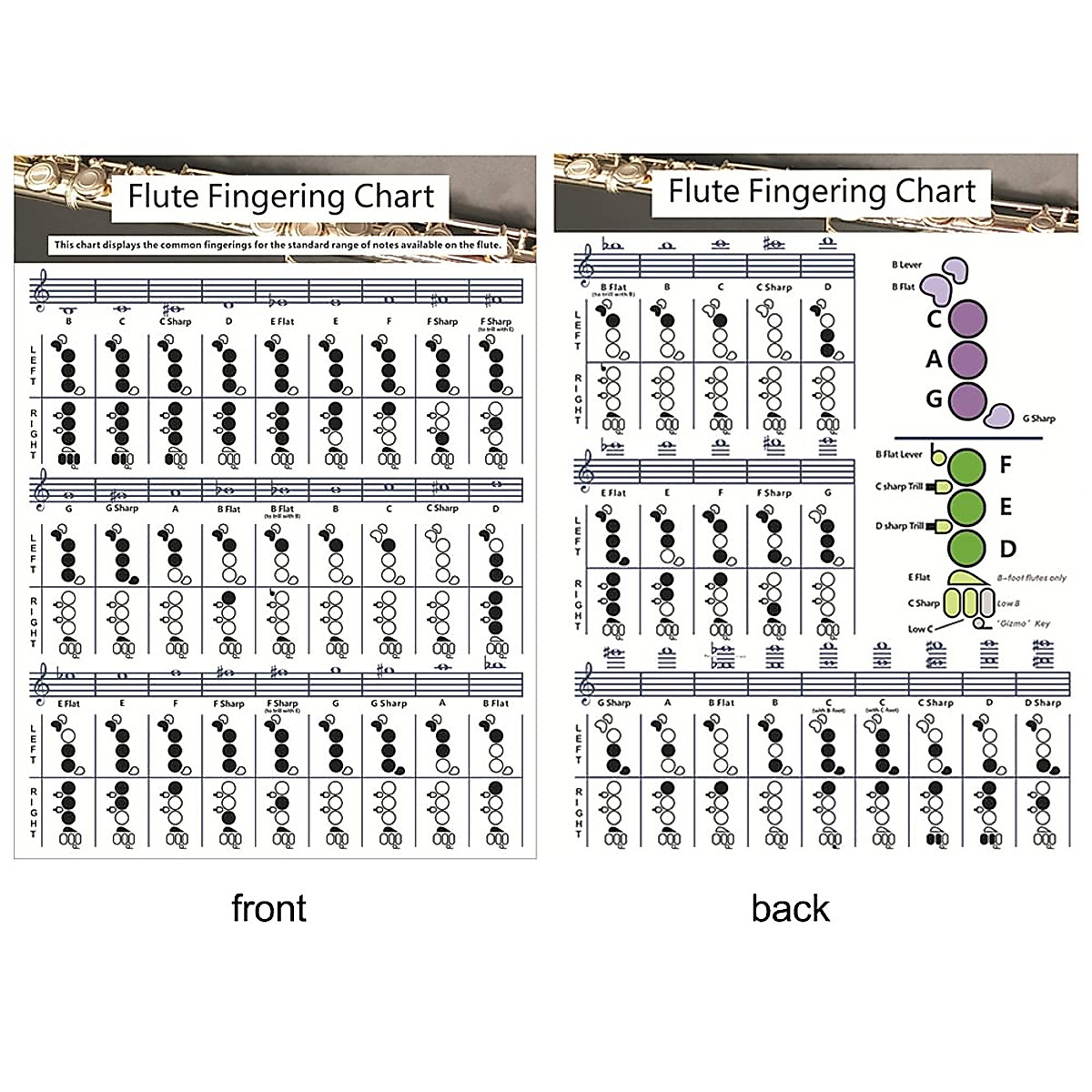SYCOOVEN Flute Chord Chart, Portable Durable Flute Fingering Chart, White Chord Chart for Flute Fingering Practice, Chord Chart Beginner Student for Teaching or Group Study, Flute Accessories