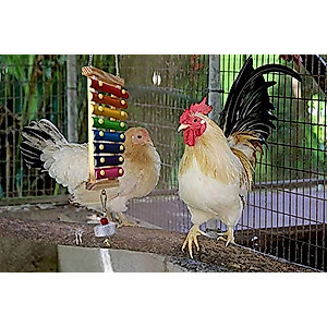 Vehomy Chicken Xylophone Toy for Hens Suspensible Wood Xylophone Toy with 8 Metal Keys Chicken Coop Pecking Toy with Grinding Stone (Rainbow Color)