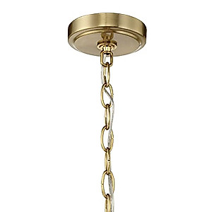 Craftmade 50525-BNK Bolden Clear Seeded Glass Shade Chandelier, 5-Light 500 Watts, Brushed Polished Nickel