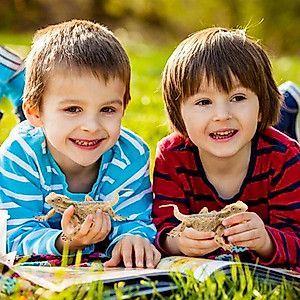 Rismise Lizard Figurine Toys Lizard Animals Figures Lizard Toys Plastic Lizard Model Bearded Dragon Animal Figurines for Cake Decoration Educational Toys Gecko Animal Trick Reptile Prank Props