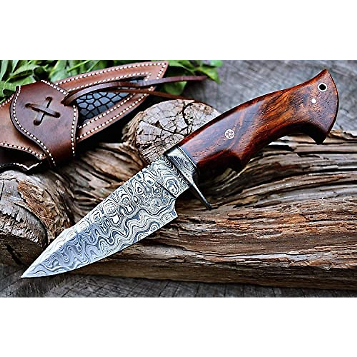 BIGCAT ROAR 10" Handmade Damascus Hunting Knife with Leather Sheath - Ideal for Skinning, Camping, Outdoor - EDC Fixed Blade Bushcraft Knife with Walnut Wood Handle - Predator Hunter