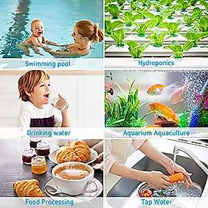 VIVOSUN PH Meter Digital PH Tester Pen 0.01 High Accuracy Water Quality Tester with 0-14 PH Measurement Range for Household Drinking, Pool and Aquarium, with ATC, Army Green