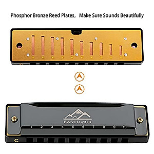 EastRock Blues Harmonica Mouth Organ 10 Hole C Key with Case, Diatonic Harmonica for Professional Player, Beginner, Students gifts, Adult, Friends, Gift Black