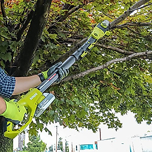 Sun Joe 24V-PS8CMAX-LTE 24-Volt IONMAX Cordless Telescoping Pole Chain Saw Kit, 8-inch, W/ Bonus Spare Chain, 2.0-Ah Battery + Charger