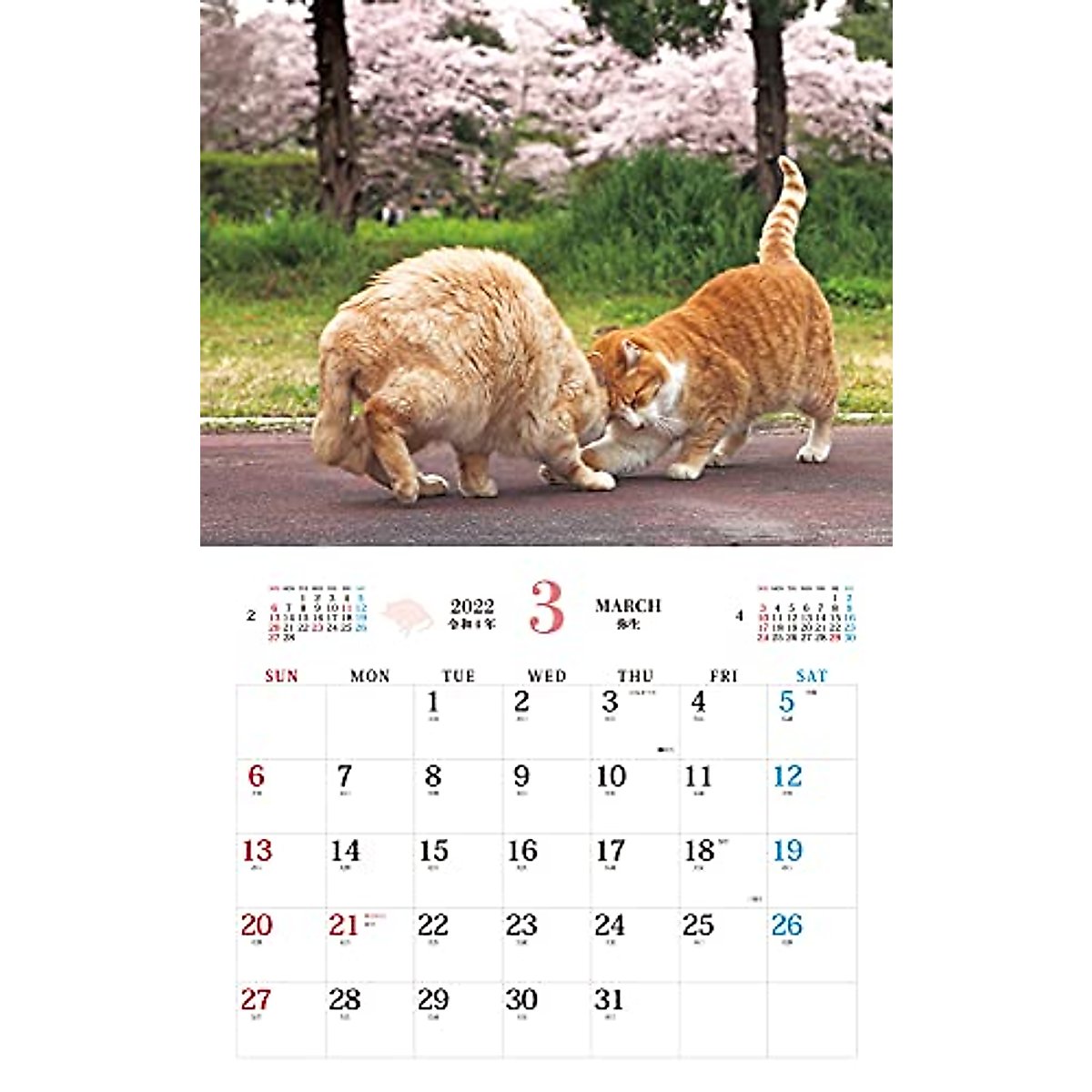 そとねこ (インプレスカレンダー2022)