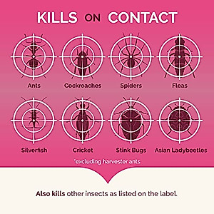 Hot Shot Ant, Roach & Spider Killer 2 Pack, 17.5 oz, Kills Roaches and Listed Ants On Contact, Indoor & Outdoor Insecticide Spray