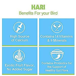 Hagen Prime Parrot Vitamin, Mineral and Amino Acid Supplement for Seed Eating Birds, 1.1 oz