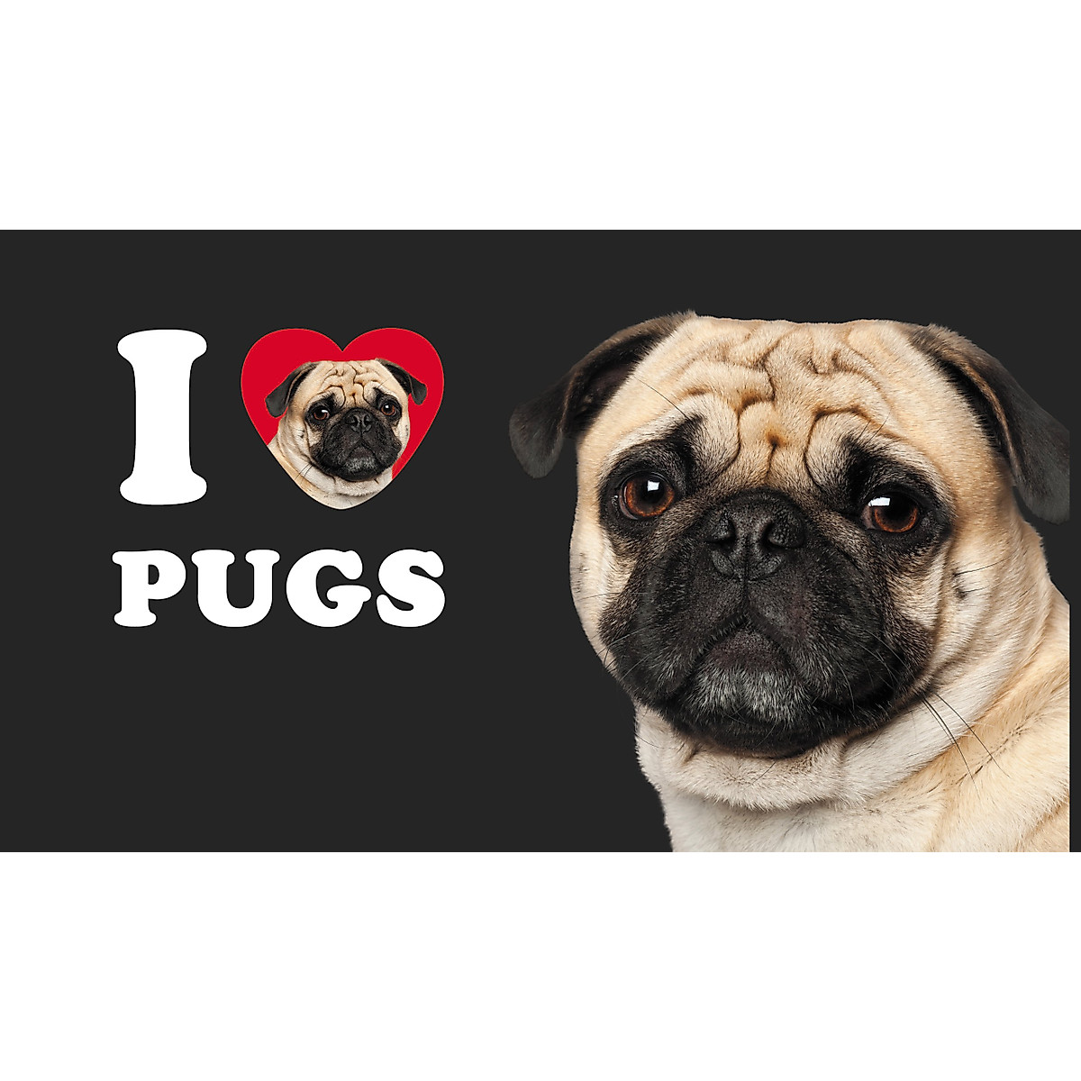 I Heart Pugs Dog Double-Walled Cool Travel Cup with Reusable Straw, 16-Ounce, Tan and Black - Gift for Puppy Lovers - Tree-Free Greetings