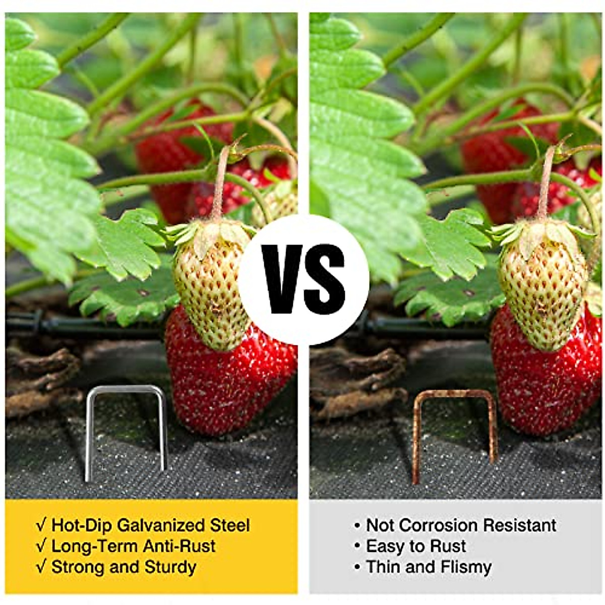 Whonline 300pcs Landscape Staples, 6 Inch 11 Gauge, Galvanized Garden Stakes, Landscape Pins, Ground Stakes for Yard Sod Anchoring Landscape Fabric Irrigation Tubing