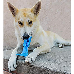 Pacific Pups Products for Dogs 18 Piece Dog Toy Set with Dog Chew Toys, Rope Toys for Dogs, Plush Dog Toys and Dog Treat Dispenser Ball - Supports Non-Profit Dog Rescue