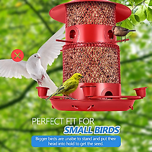 Metal Bird Feeders for Outside, Squirrel Proof Hanging Wild Bird Feeder, 4 Lbs Large Seed Capacity, Outdoors Mesh Tube Birdfeeders with 6 Perches