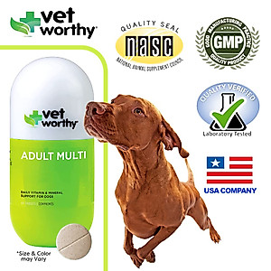 Vet Worthy Adult Multi Vitamins - Multivitamin for Dogs to Support Optimum Health and Overall Wellness - Dog Supplement with Iron, Magnesium, Zinc, Vitamin A, B Vitamins - Liver Flavor, 60 Tablets