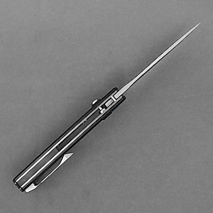 allvin R8308 Folding Knife D2 Satin Drop Point Blade Black G10 with Stainless Steel Sheet Handle Outdoor Camping Hiking Fishing EDC Pocket Survival Knives