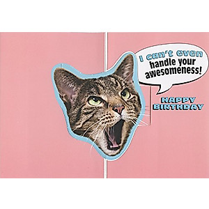 OMG Cat Pop Up Avanti Stand Out Funny Birthday Card