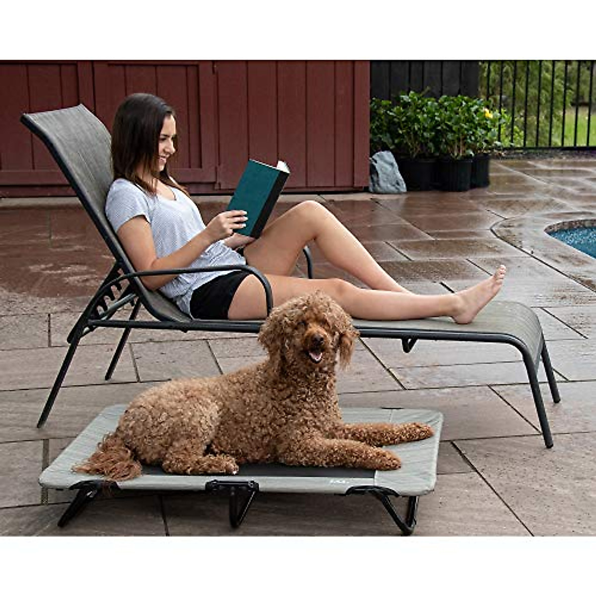 Lifestyle Pet Cot Elevated Bed, No Assembly Required, Premium Tear Resistant Cooling Mesh, Indoor & Outdoor, Lightweight & Portable, 3 Models, 2 Colors
