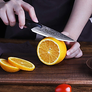 FINDKING 5 Inch Kitchen Utility Knife, Damascus Steel Paring Knife, Sharp Small Fruit Knife for Home Kitchen (Cheetah Series, w/Ebony Wood Handle)