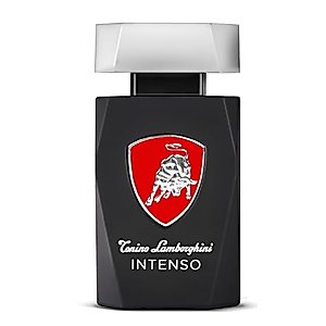 TORINO LAMBORGHINI Eau De Toilette Spray, Intense, 4.2 Fluid Ounce