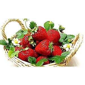 300pcs Giant Strawberry Seeds, Sweet Red Strawberry/Organic Garden Strawberry Fruit Seeds, for Home Garden Planting