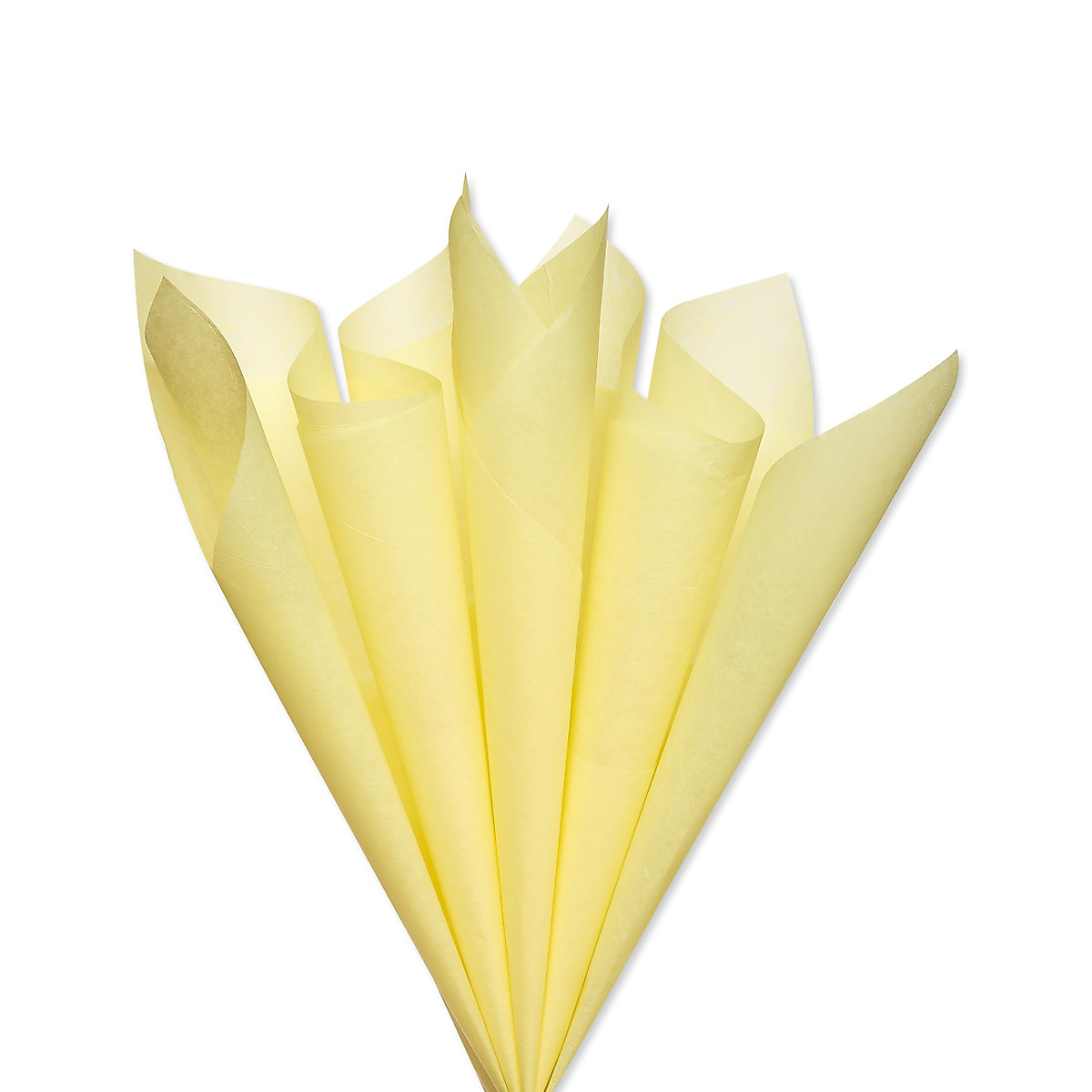 Papyrus Birthday Gift Bags with Tissue Paper, Balloons and Candles (2 Bags, 1 Large 13", 1 Medium 9", 8-Sheets)