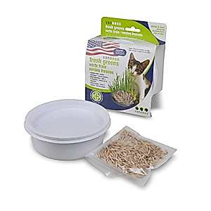 Pureness Oat Garden Kit, 1-Ounce, Greens