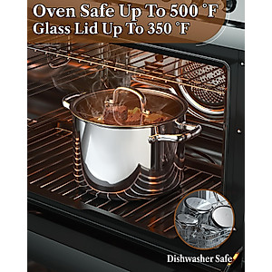 Cook N Home Stainless Steel Stockpot 8 Quart, Tri-Ply Clad Stock Pot with Glass Lid, Silver