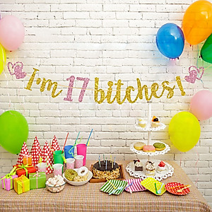 T-minimalist I'm 17 Bitches Banner, Gold & Pink Glitter Funy Happy 17th Birthday Banner, 17 Years Old Birthday Sign, Cheers to 17 Years Party Decorations Supplies, 7.5 Feet