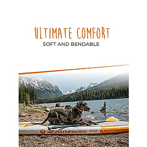 Mighty Paw Waterproof Dog Collar - Smell-Proof Active Gear - Reflective Stripe Coated Nylon Webbing - Waterproof Collar - Comfortable Dog Collar for All Dog Breeds - Dog Collar Durable (Green, Small)