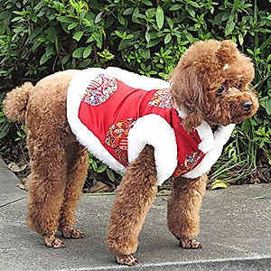 WORDERFUL Dog Tang Blessing Chinese Traditional Pet Chrysanthemum Coat Winter Cat New Year Costume for Small Medium Dogs Cats (X-Large, Blessing)