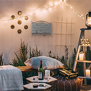 Mango Steam Wall Mounted Closet/Wardrobe Display Hanger Organizer for Jewelry & Earrings With Hooks for Necklaces, Bracelets, Accessories - Silver