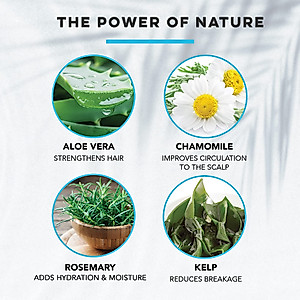 Brocato Splassh Daily Conditioner - 8.5 oz