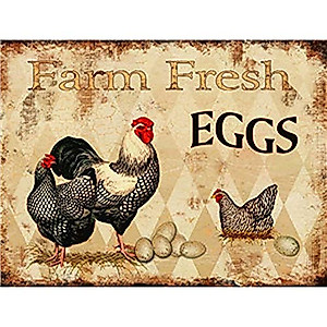Flowerbeads Farmhouse Sign Funny Wall Signs Chicken Coop Country Decor for Home, Farm & Kitchen