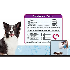 16 OZ Dog Calcium Supplement with Phosphorus & Vitamin D, Calcium Powder for Dogs Promotes Optimal Bone Development for Puppies Aged 8 Weeks and Up, No Color