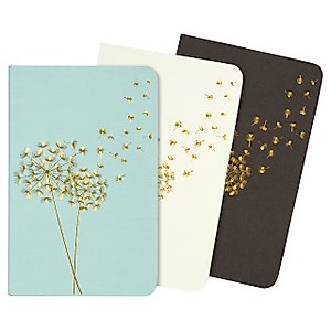Dandelion Wishes Jotter Notebooks (set of 3)