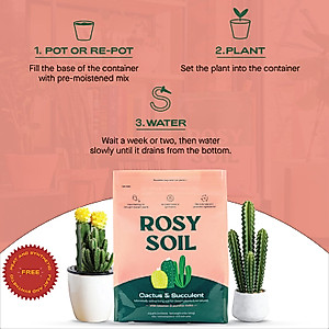 Cactus and Succulent Organic Potting Soil Mix for House Plants - Fast Draining, Root Boosting, Peat-Free Soil for Drought Tolerant Growth of Aloe Vera, Cacti and Indoor Succulents Plants - 4 qt