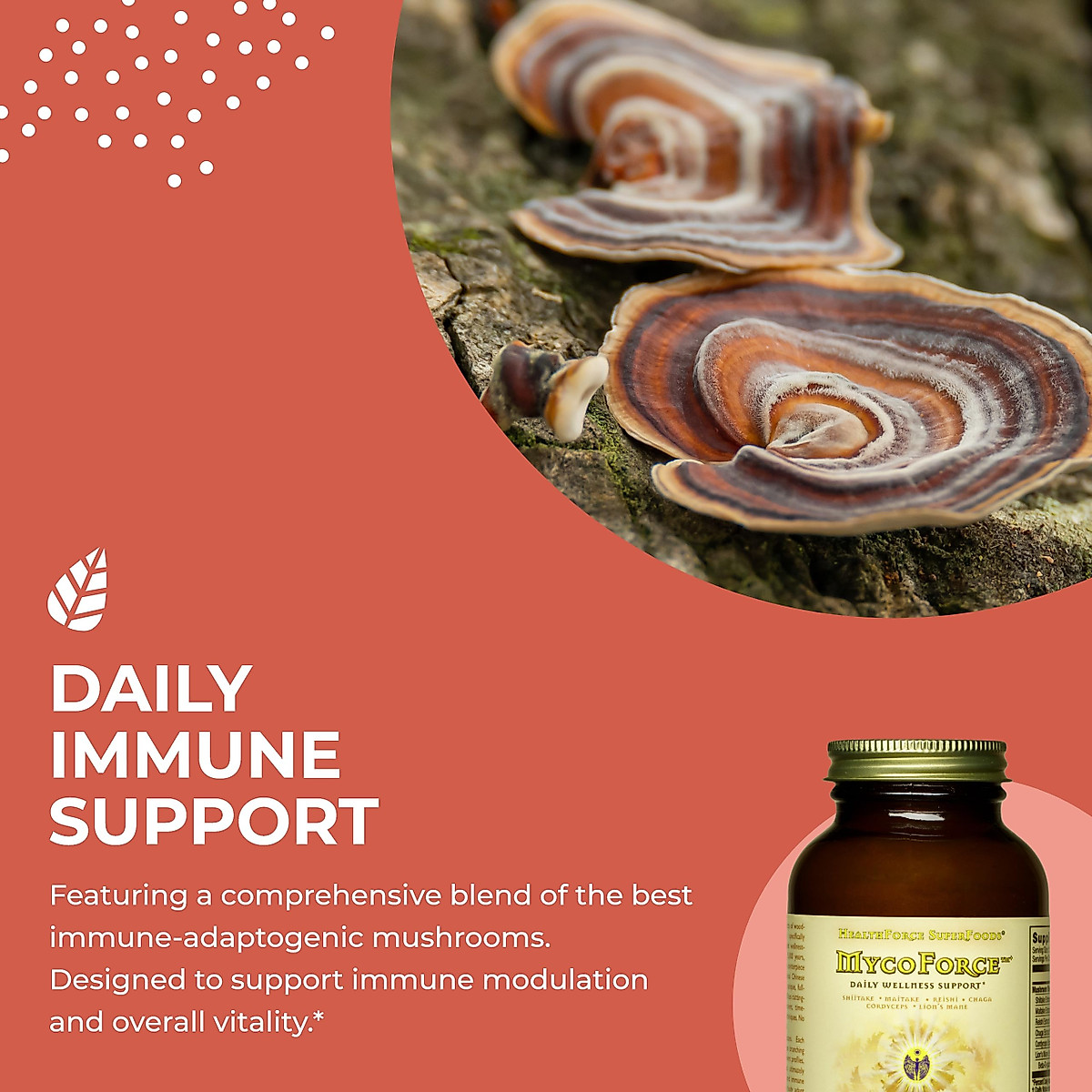 HEALTHFORCE SUPERFOODS MycoForce - Powder - 75 Grams