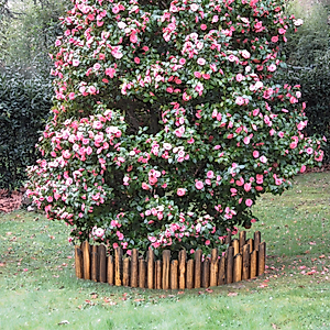 Gtouse Wooden Fence Edging, Garden Fencing Border, Wood Landscape Edging Border for Decorative Spring Garden Patio Pathway Courtyards Balconies Planting Fences