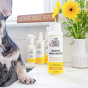 SKOUT'S HONOR: Probiotic Pet Shampoo & Conditioner - 2-in-1 with Avocado Oil - Cleans and Conditions Fur, Supports Pet’s Natural Defenses, PH-Balanced, Sulfate-Free - Honeysuckle - 16 oz.