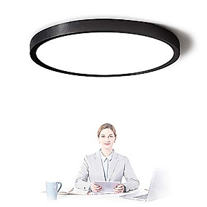 TALOYA Flush Mount LED Ceiling Light Fixture Black,12 Inch 20 Watt, Thin Ceiling Lamp Surface Mount for Kitchen Bedroom Utility Laundry Closet Room,3 Color Temperatures in One (3000k/4000k/6500k)