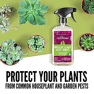 Aunt Fannie’s Houseplant & Garden Insect Remedy, Indoor and Outdoor Plant Insect Killer (6-Pack)