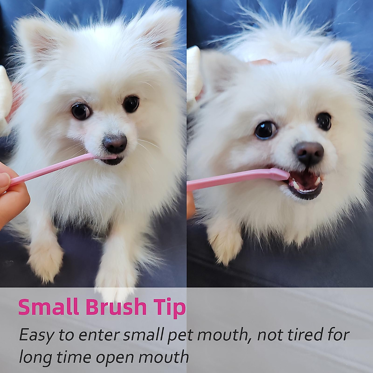 Cat Dog Toothbrush Puppy Tooth Brushing Kit Cat Dental Healthy Pink Teeth Brush for Dogs Dental Hygiene Toothbrush for Pet Kitten Bunny 1 Piece