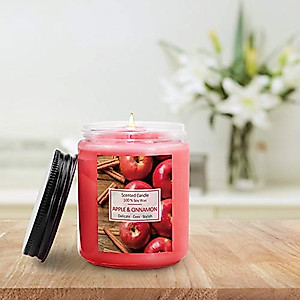 SCENTORINI Scented Candles, Apple Cinnamon Scented Candle, 7 oz Natural Soy Wax Candle, Aromatherapy Candle Gift Set for Halloween, Christmas