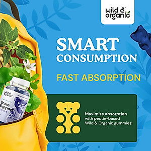 Wild & Organic Brain Support Gummies - Focus Supplement w/Ashwagandha Root, Vitamin B12, Ginkgo Biloba, Bacopa - Vegan Chews for Clarity & Productivity - 60 Brain Gummies