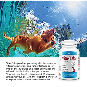 Vita-Tabs - Essential Vitamins, Minerals, Nutrients - Health Supplement for Dogs - Support Immune System, Bones - Liver Flavored - 250 Chewable Tablets
