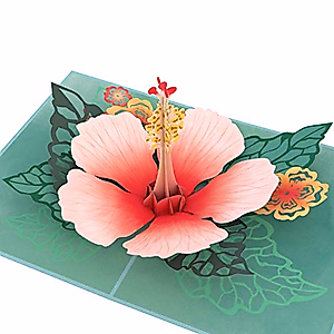 Lovepop Hibiscus Bloom Pop Up Card, 5x7-3D Greeting Card, Pop Up Paper Flower Card, Mother's Day Pop Up Card, Card for Mom, Wife or Friend, Pop Up Anniversary Card, Thinking of You